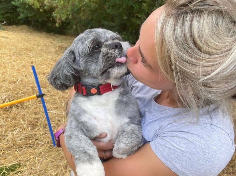 Happy Hounds Towcester