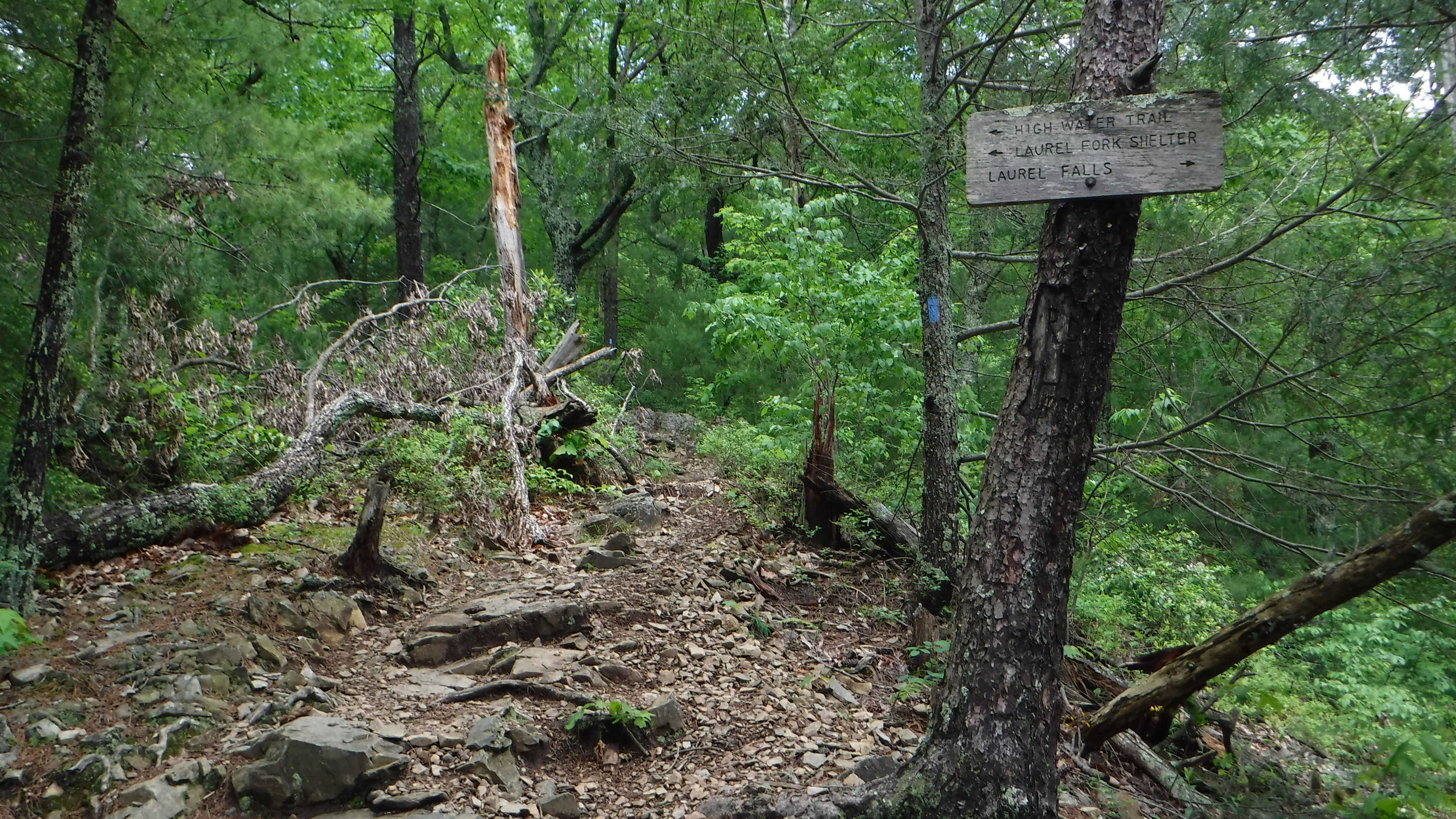 AT 2017: Day 33, Moreland Gap Shelter to Shook Branch Road | Hike with ...