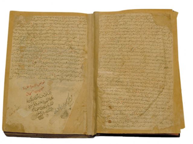 Magic or Medicine? Malay Healing Practices