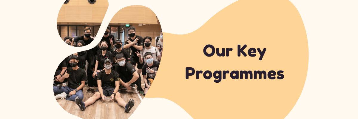 Our Key Programmes