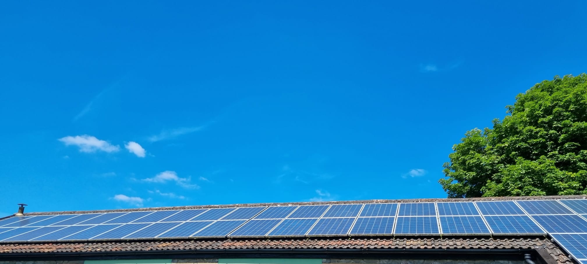 After 2 days of Quantum-Touch Level 2 Tyroon is able to walk without a ...