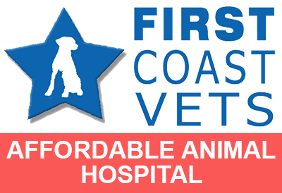 Contact Us | First Coast Vets