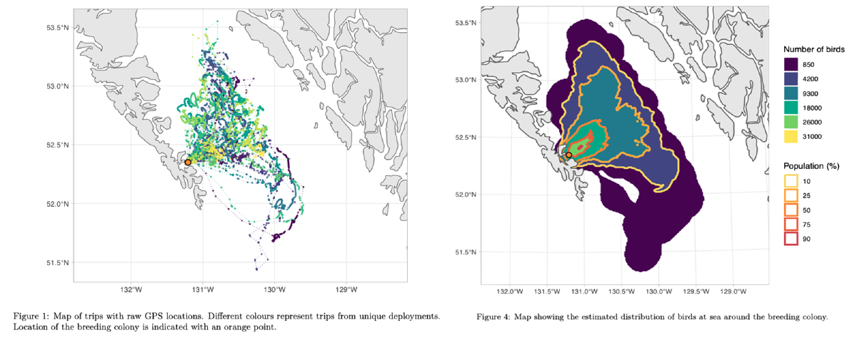 Popov EcoData | OPPTools