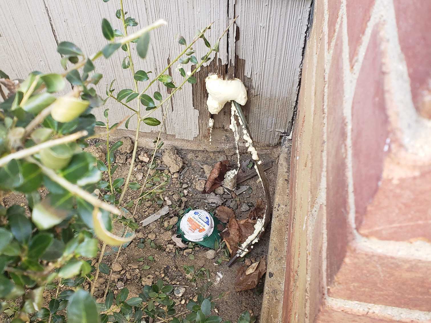 Dandelion Energy Review From An Actual Homeowner [2021] | Radiant ...