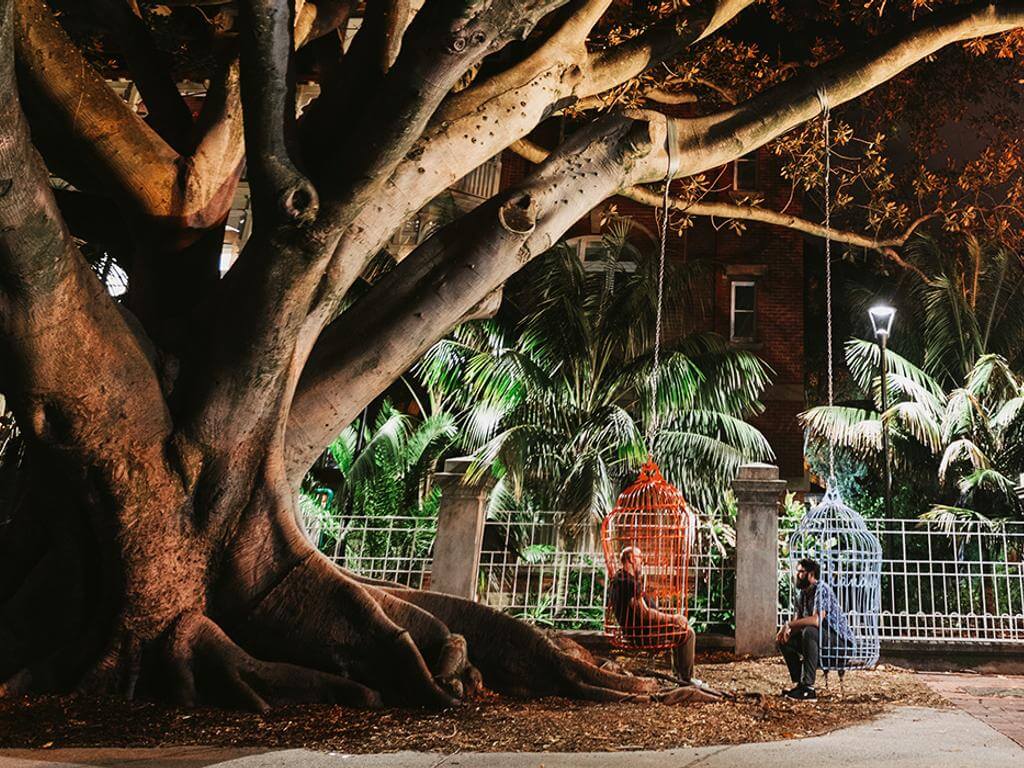 Tree Month in the City of Perth 2023 | UpNext
