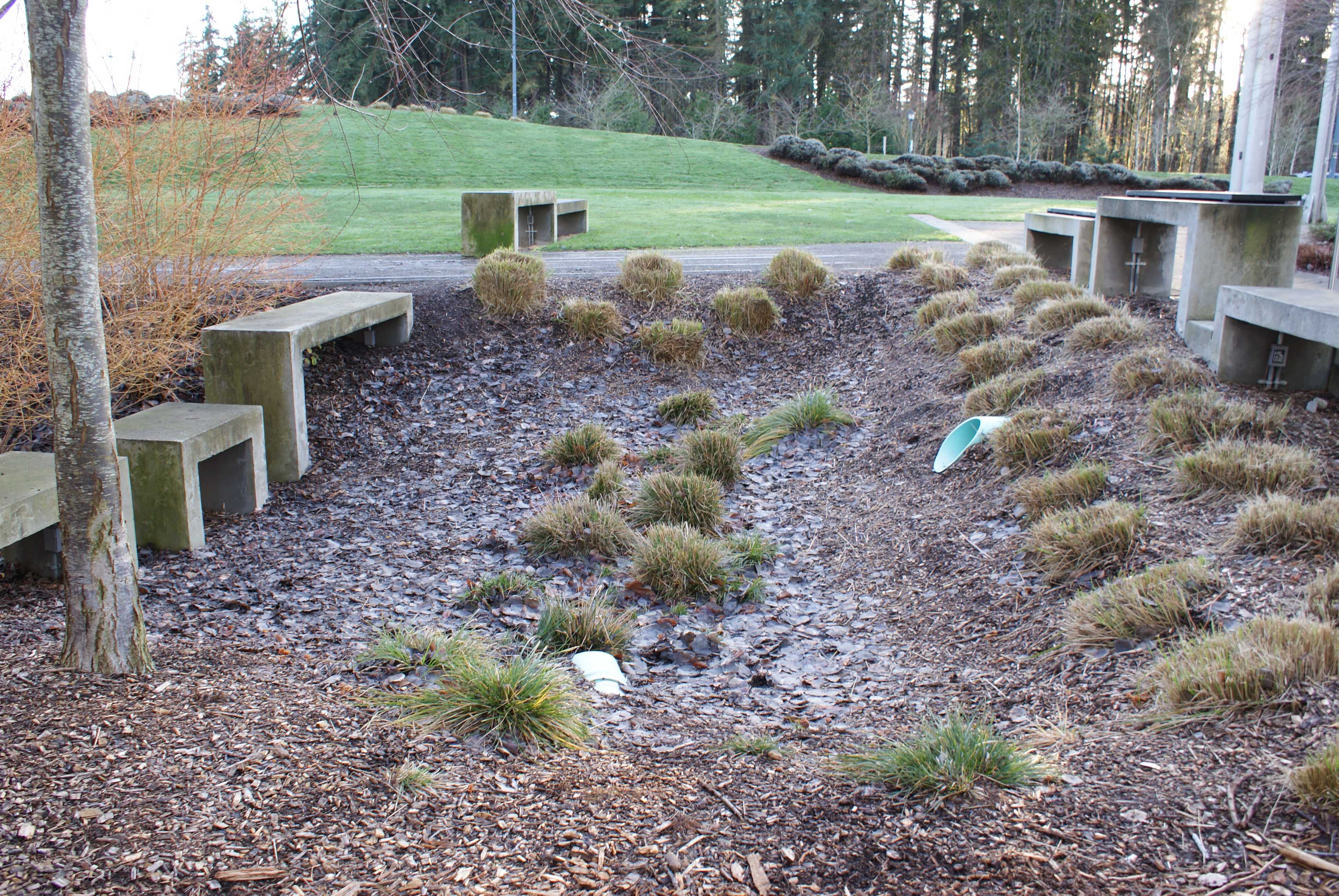 Washington State Stormwater Sustainable Management | Blog