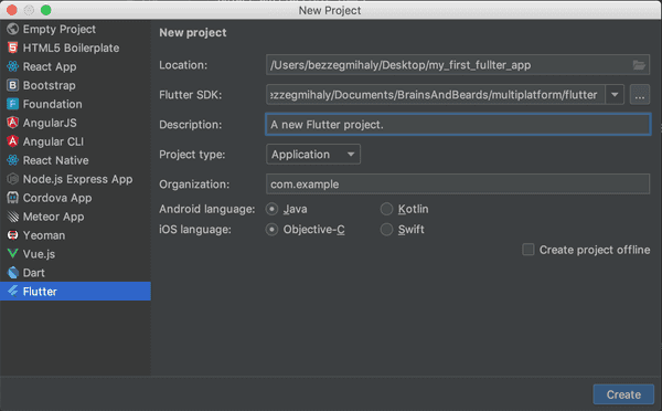 Creating your first Flutter project using WebStorm · Brains & Beards
