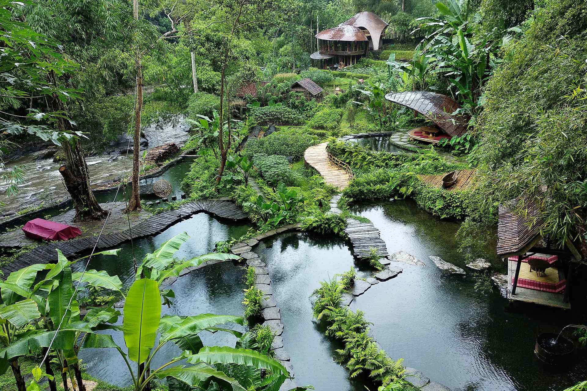 Magic Green | Bambu Indah