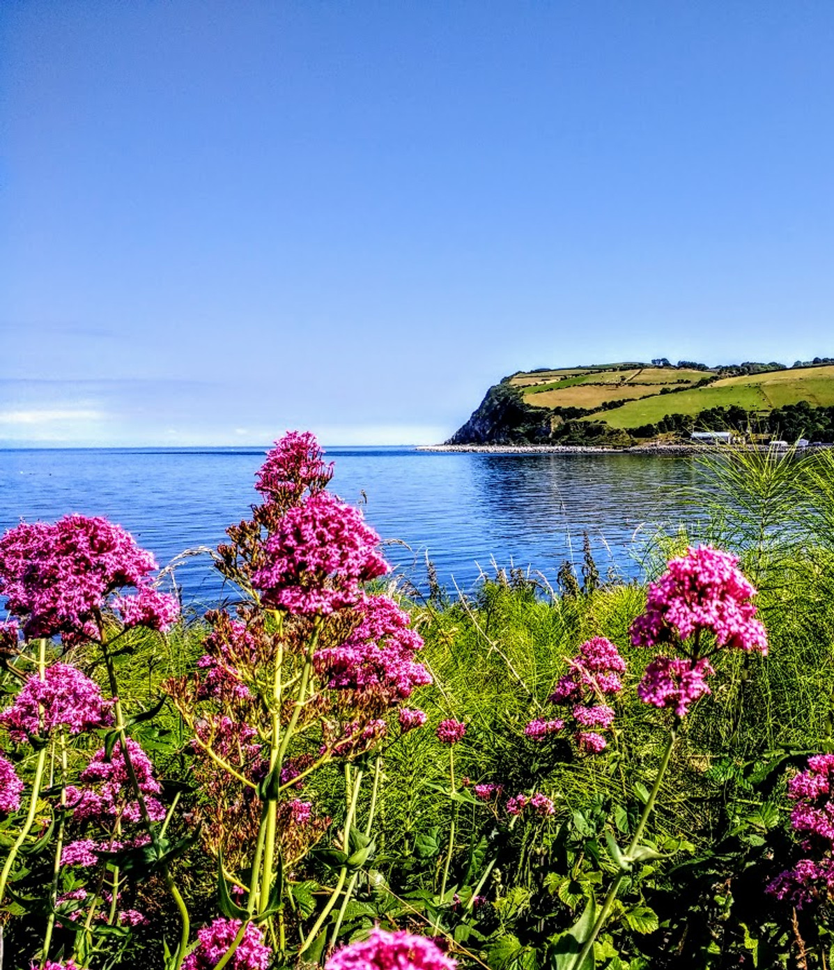 Giant's Causeway Tour | Giant's Causeway, Antrim Coast, Bushmills ...