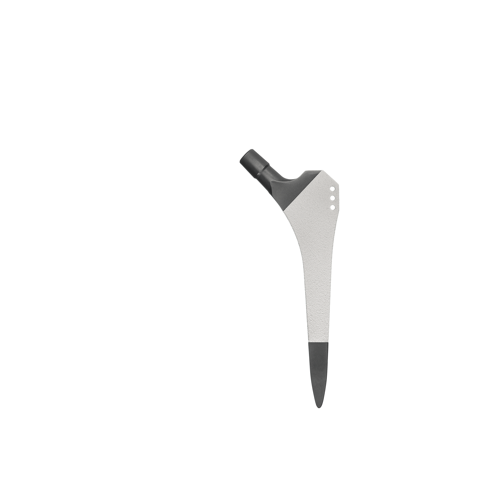 OrtoHIP | Ortonom + Total Hip System