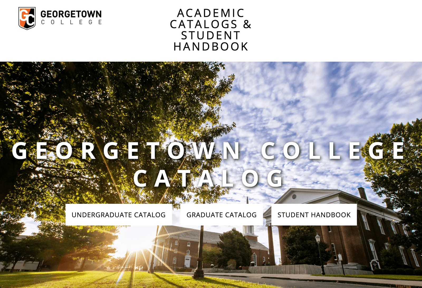Showcase — 5 Custom Site Designs — Clean Catalog