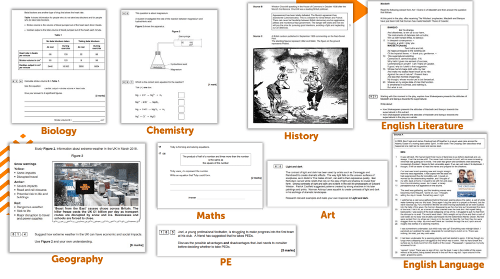 What is disciplinary literacy? | Bedrock Learning