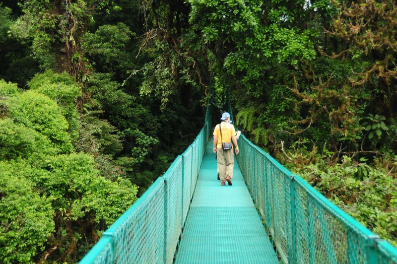 Hummingbird Garden Monteverde Costa Rica