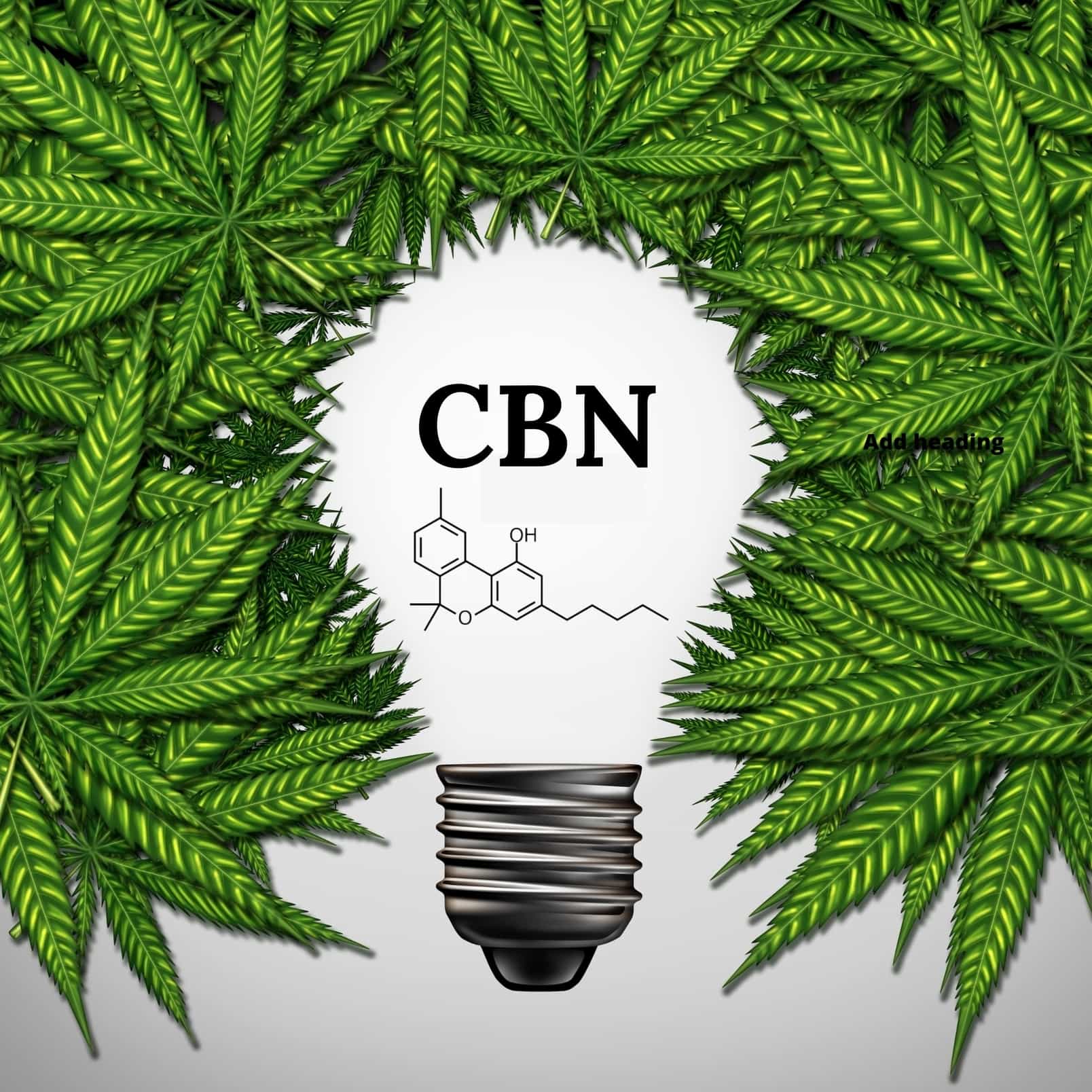 What Is CBN Cannabinol And Its Medical Benefits 