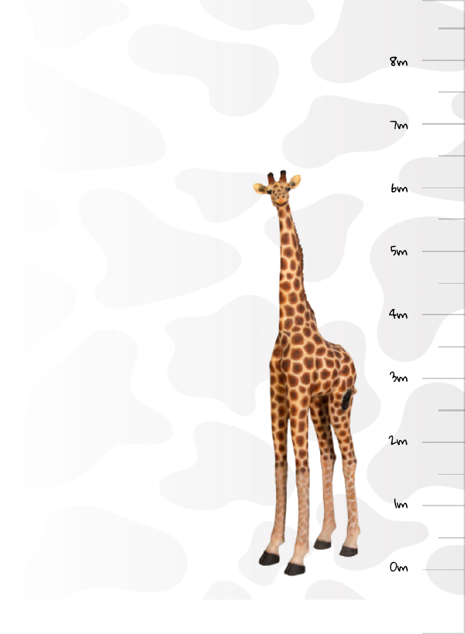Giraffe CCTV | Giraffe Home