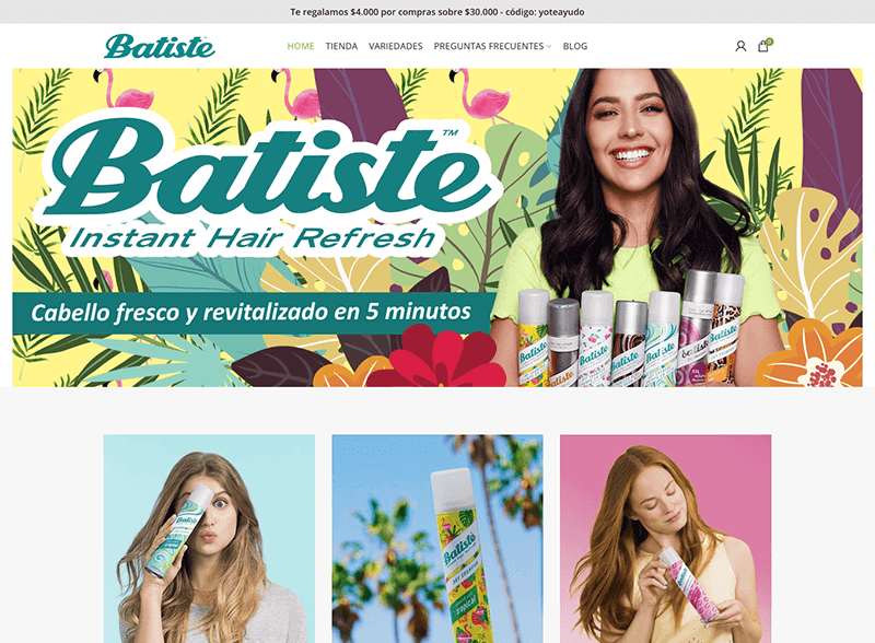 Diseño de Sitios Web y Tiendas eCommerce — SitioWebOnline.cl
