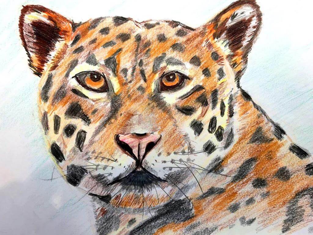 You can draw anything: 4-week drawing course 2022 | UpNext