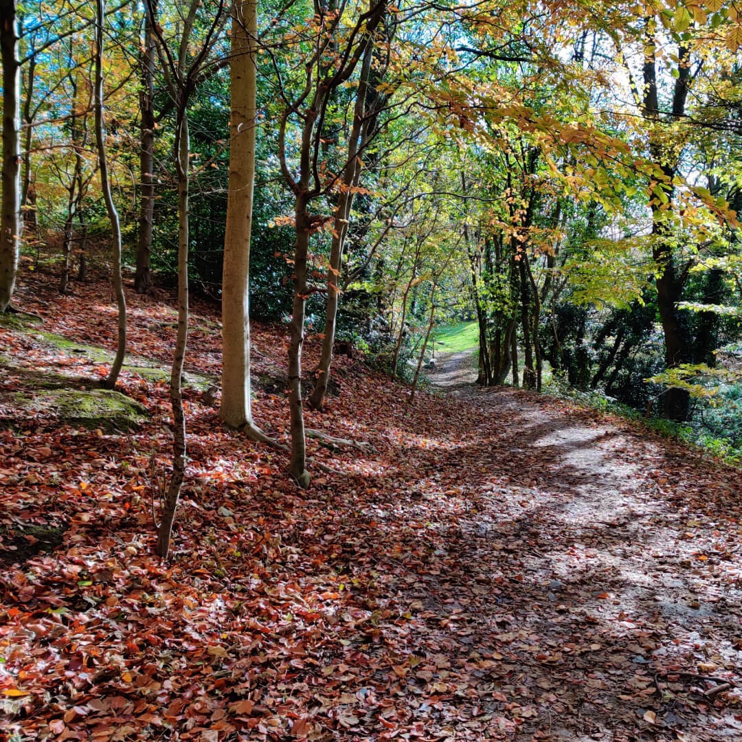 Gledhow Valley Woods - Discover Leeds