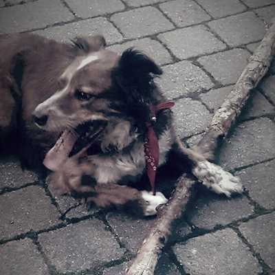 When you’re feeling blue, having someone to listen to you can make the ...