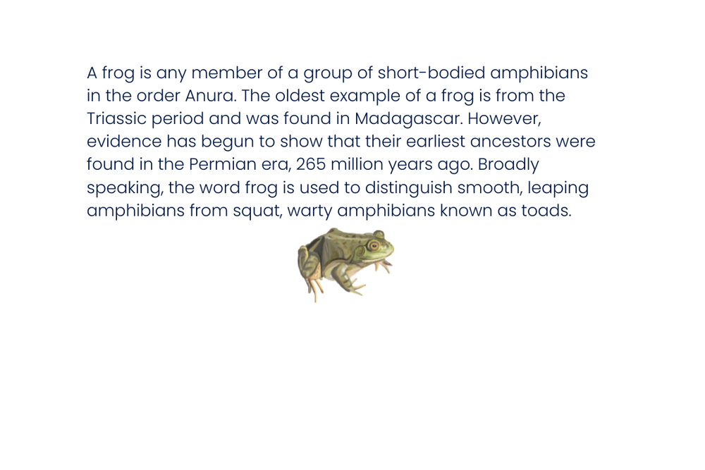 Teaching grammar basics: paragraphs | Bedrock Learning