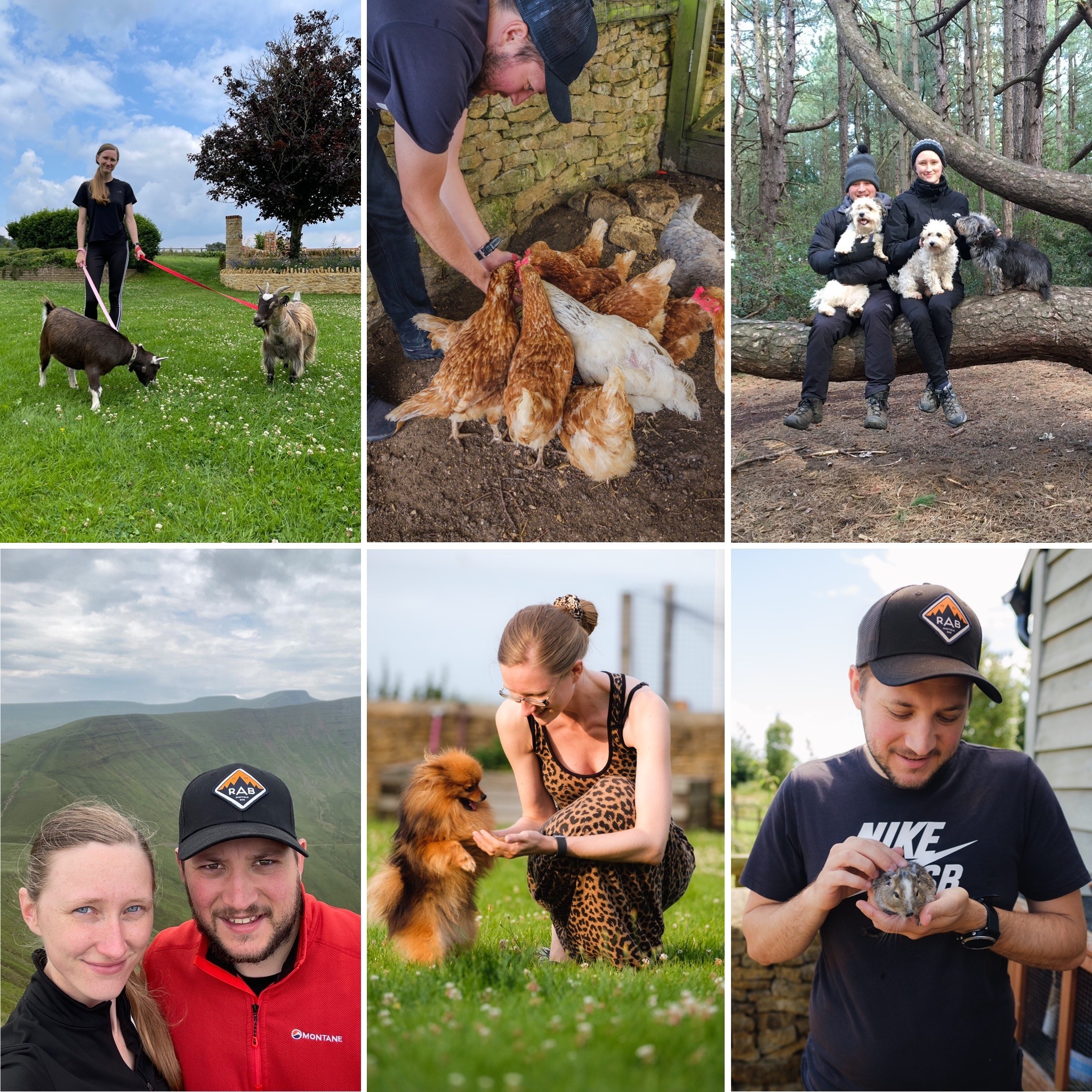 Creating a successful pet sitter profile | Chris & Suze Go Walkies