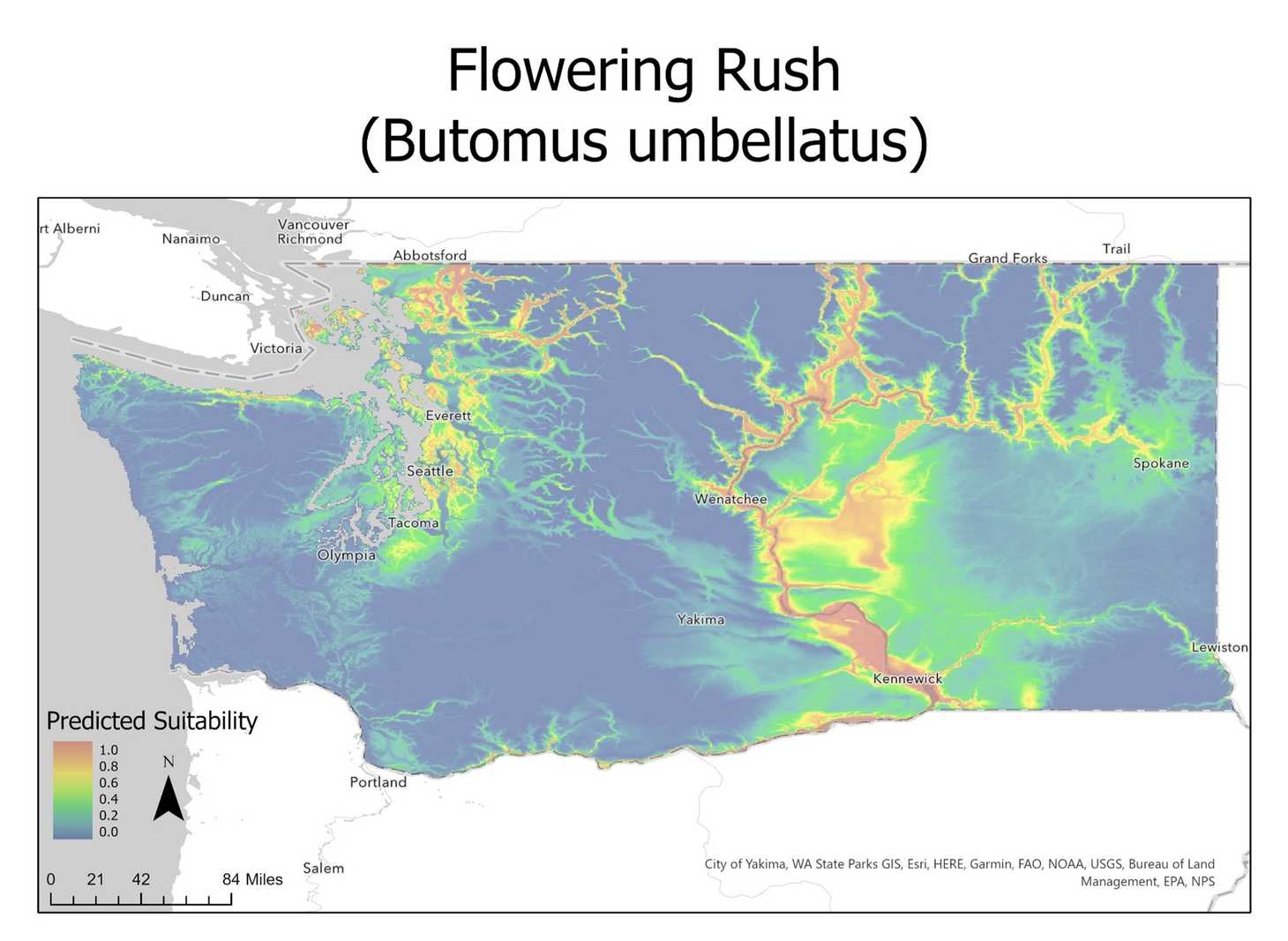 The Process of Developing Species Distribution Modeling Using Maxent | Blog