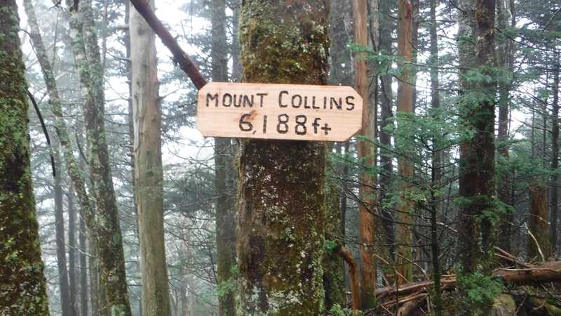 AT 2017: Day 17, Derrick Knob Shelter to Mt. Collins Shelter | Hike ...