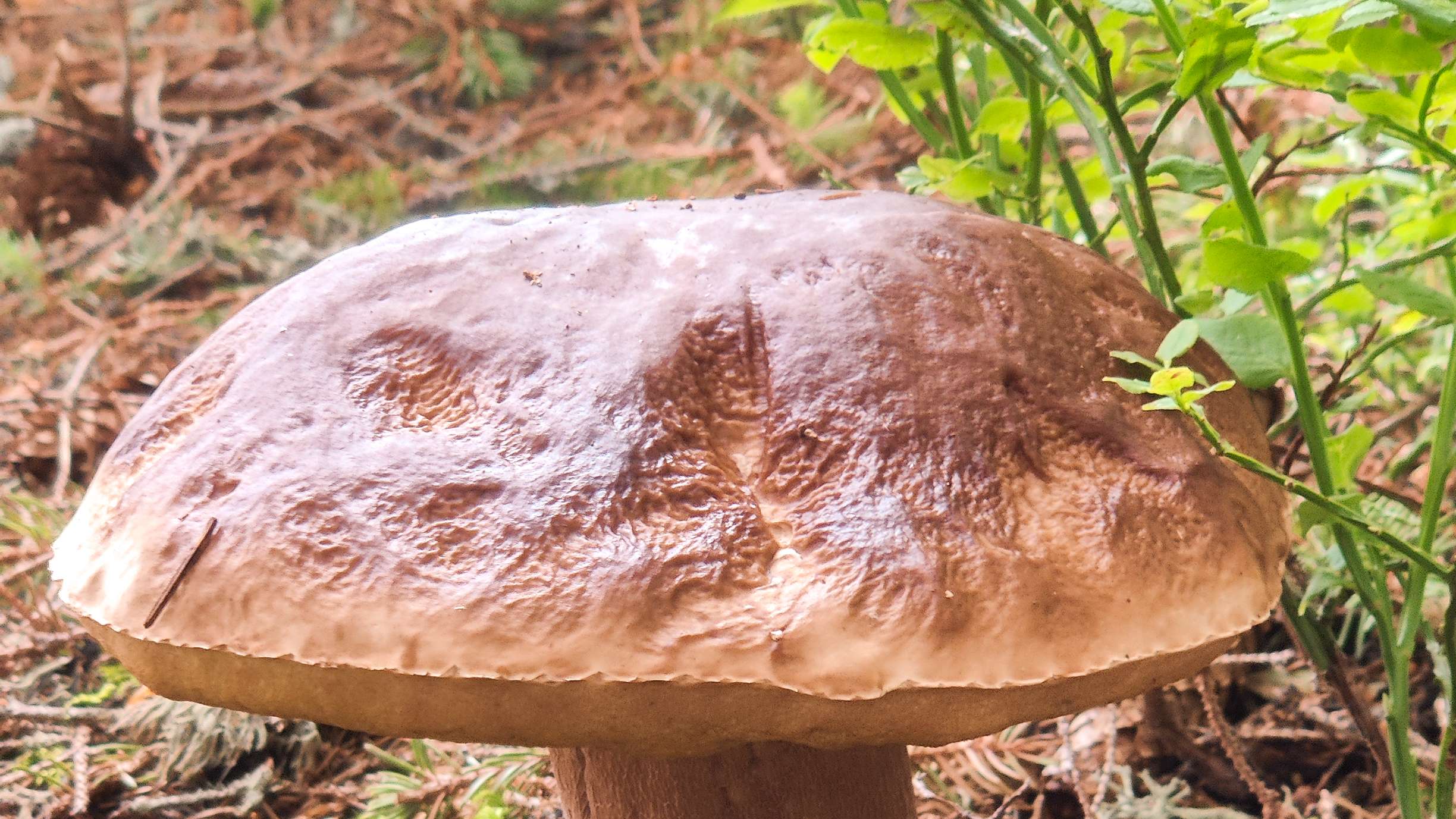 In orice sezon exista atractii care va vor face sa simtiti ca timpul ...