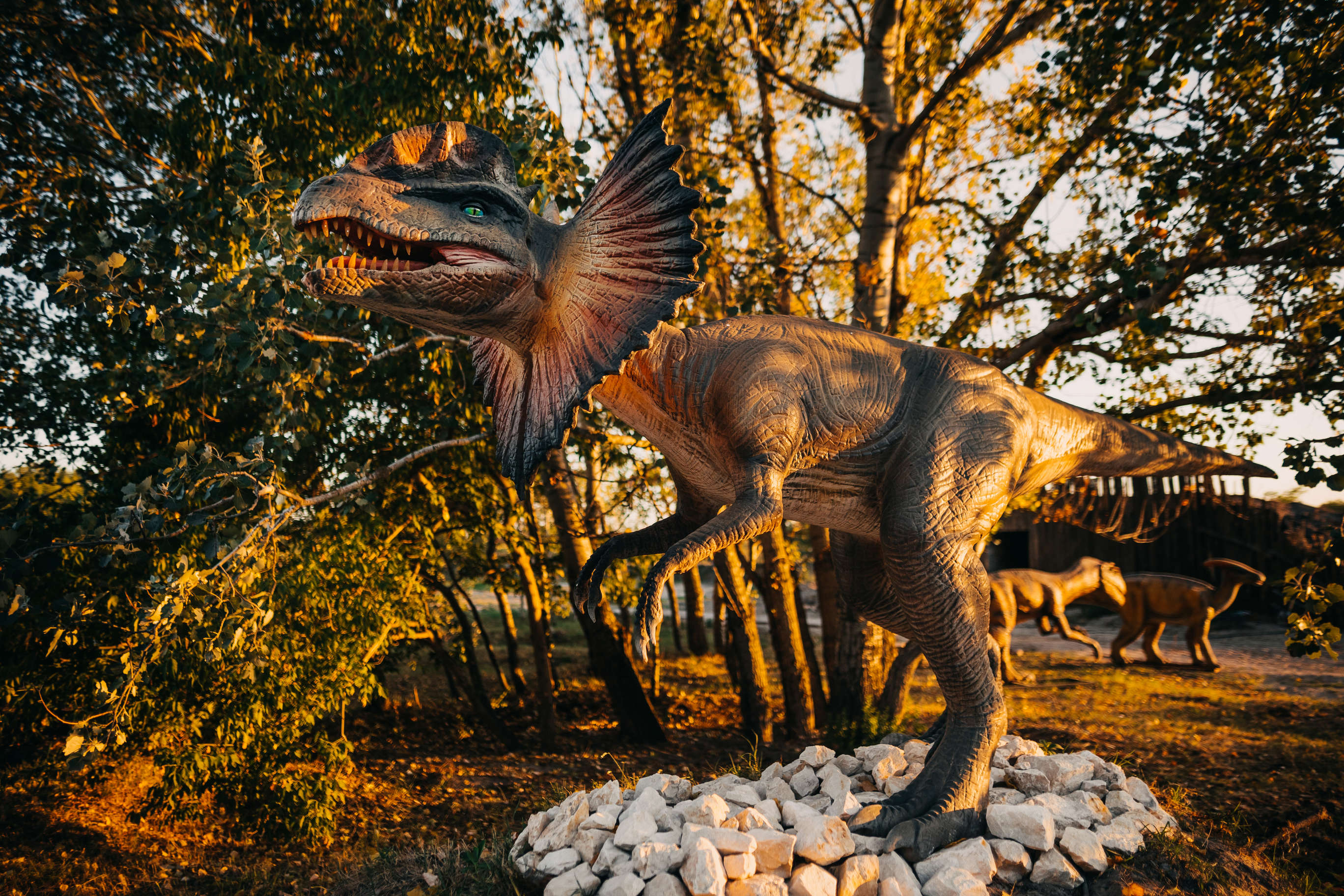 Dínópark Ásotthalom