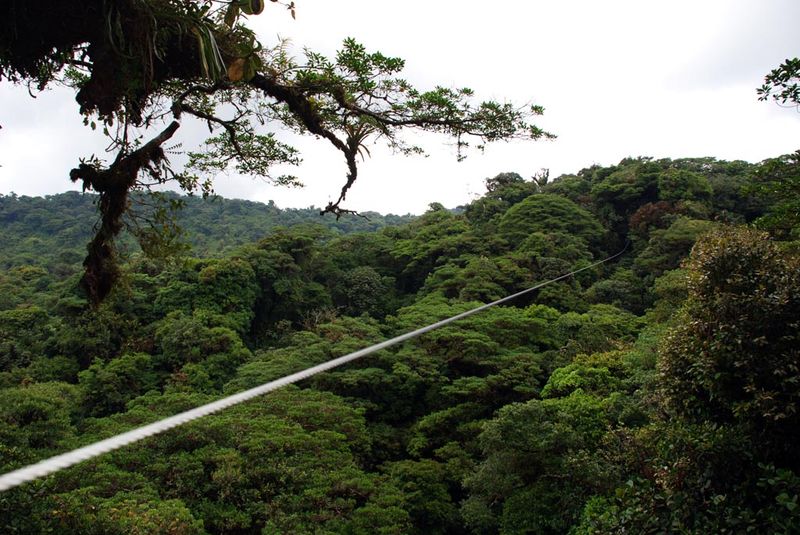 Selvatura Park Monteverde Costa Rica