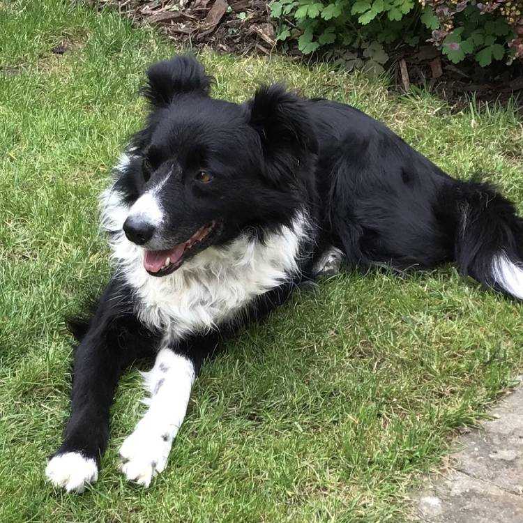 Mell is so proud of how much Bess has grown in confidence