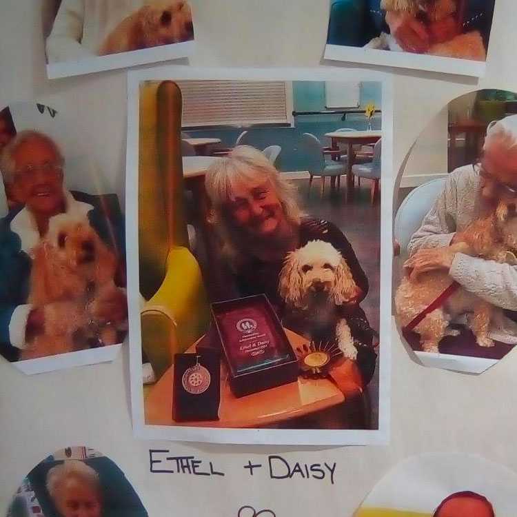 Not only has Daisy made Ethel’s life better, but she’s now helping many ...