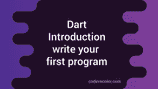 Dart 2 programming language Writing your first program (Introduction ...