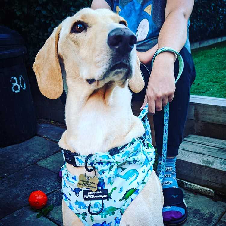 After a particularly tough start, Riley is now living his best life as ...