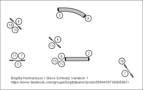 Birgitta Hermansson Tunnels/Jumps Practice Sequences - Video | AgilityNerd