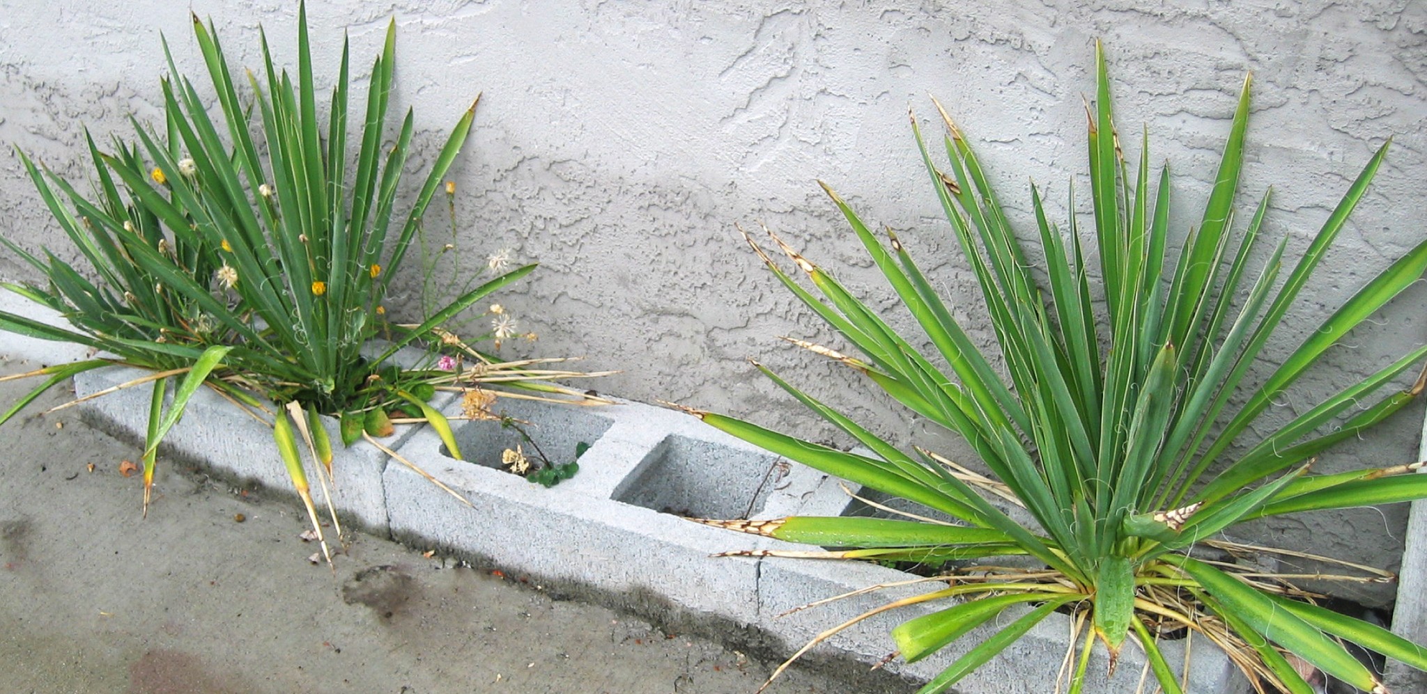 Making the most of neglected urban spaces - Beyond