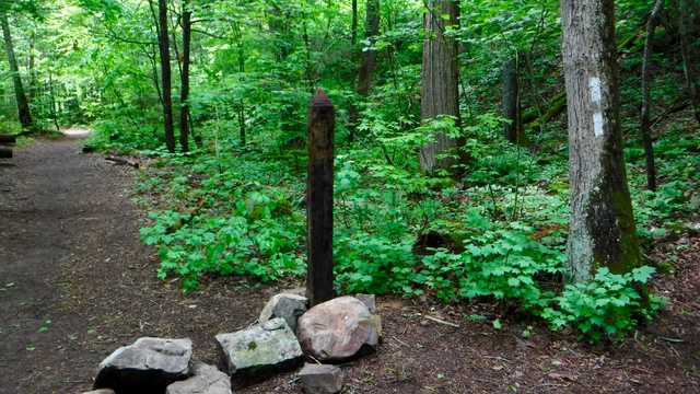 AT 2017: Day 33, Moreland Gap Shelter to Shook Branch Road | Hike with ...