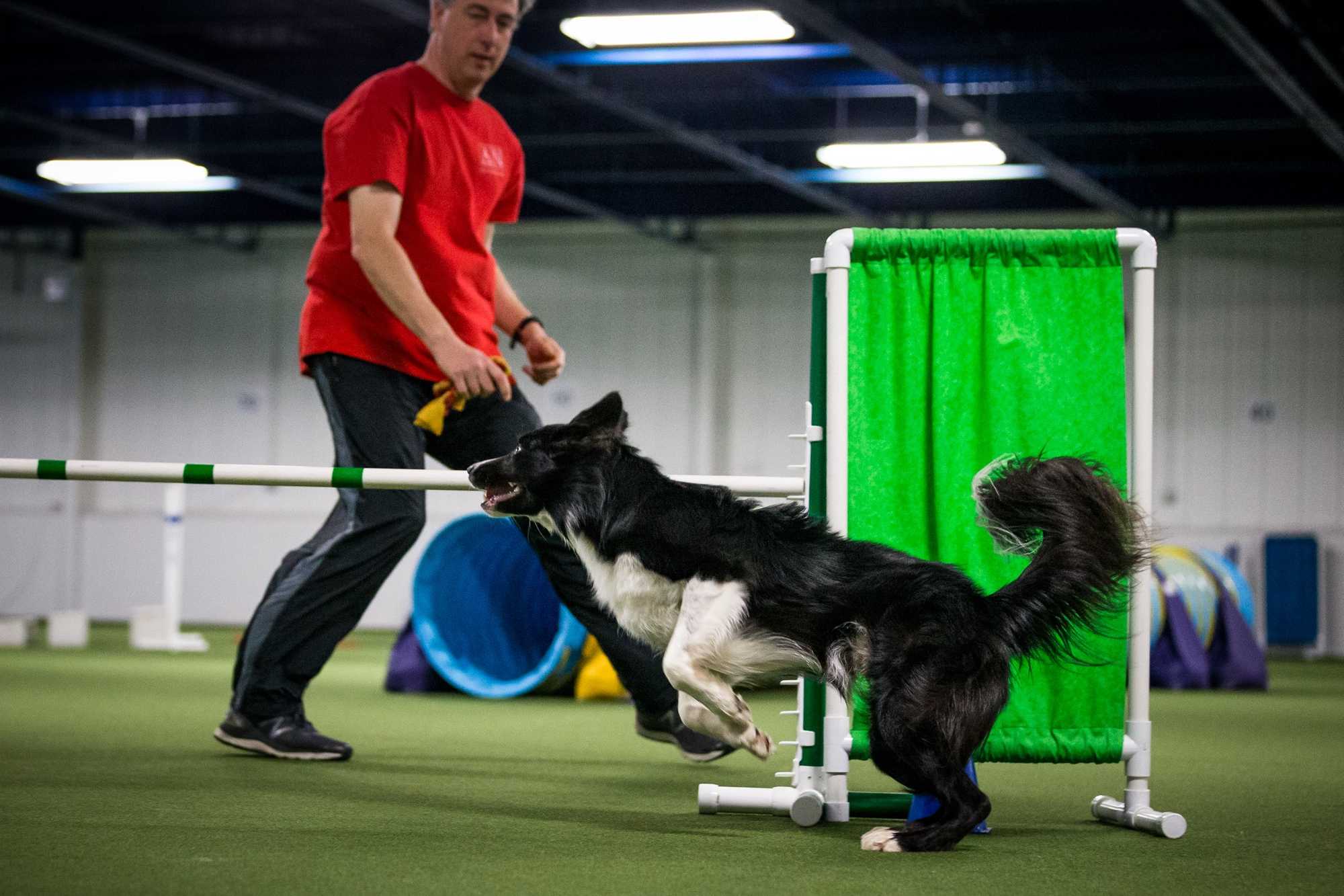 All posts | AgilityNerd