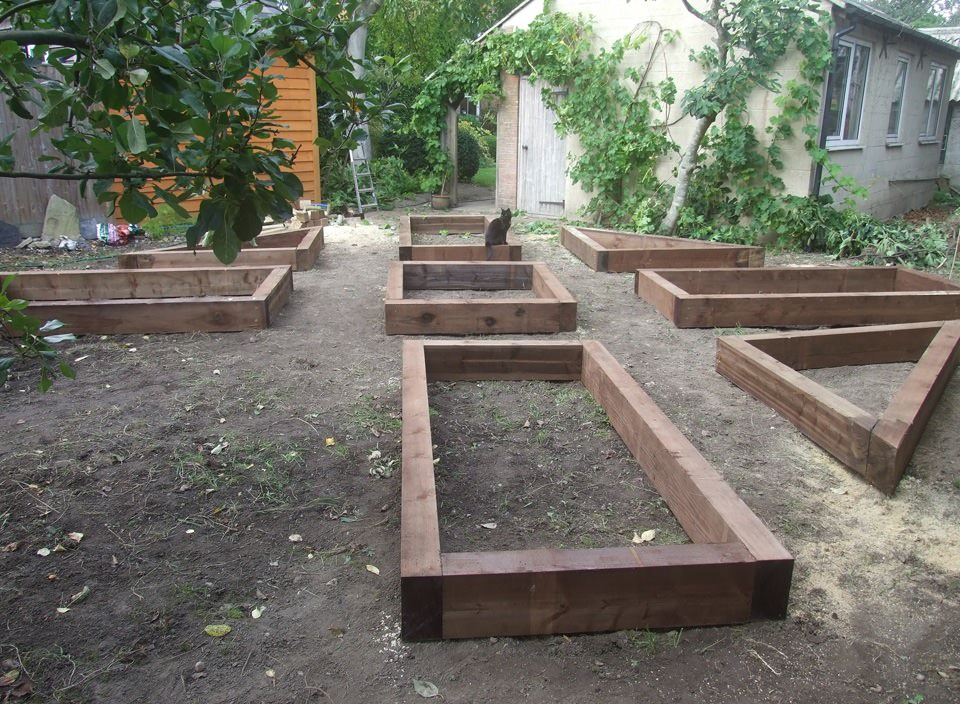 Appledore Garden Design