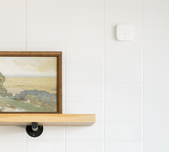 Glass Break Sensor | Cove Security