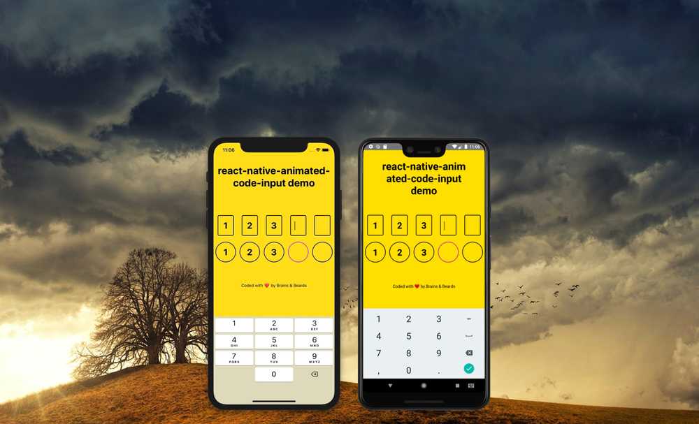 React Native Animated Code Input · Brains & Beards