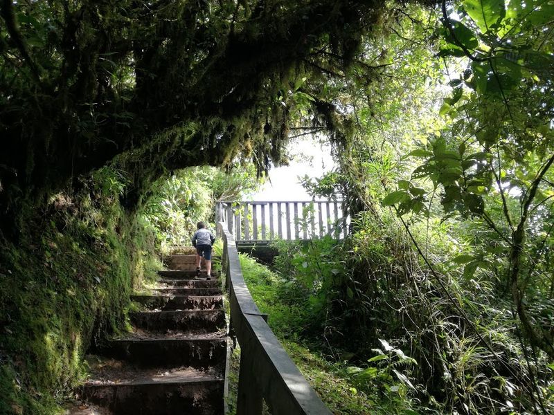 Monteverdes Cloud Forest