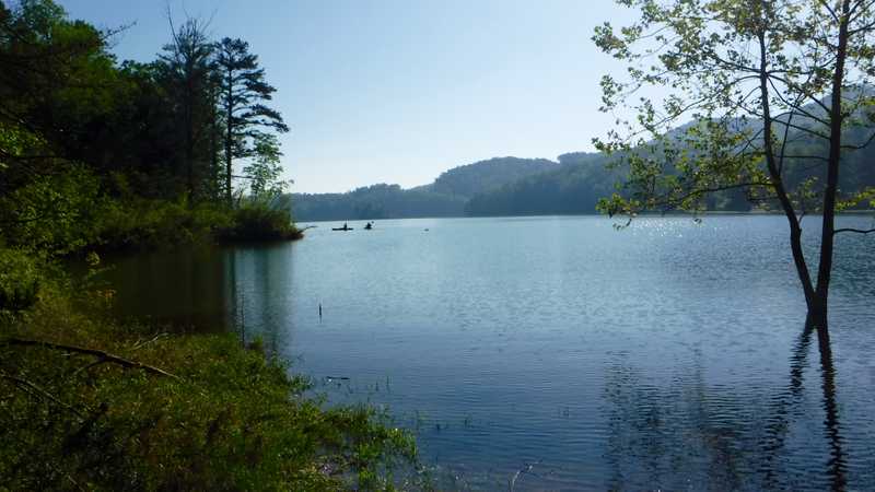 AT 2017: Day 34, Shook Branch Road to Iron Mountain Shelter | Hike with ...