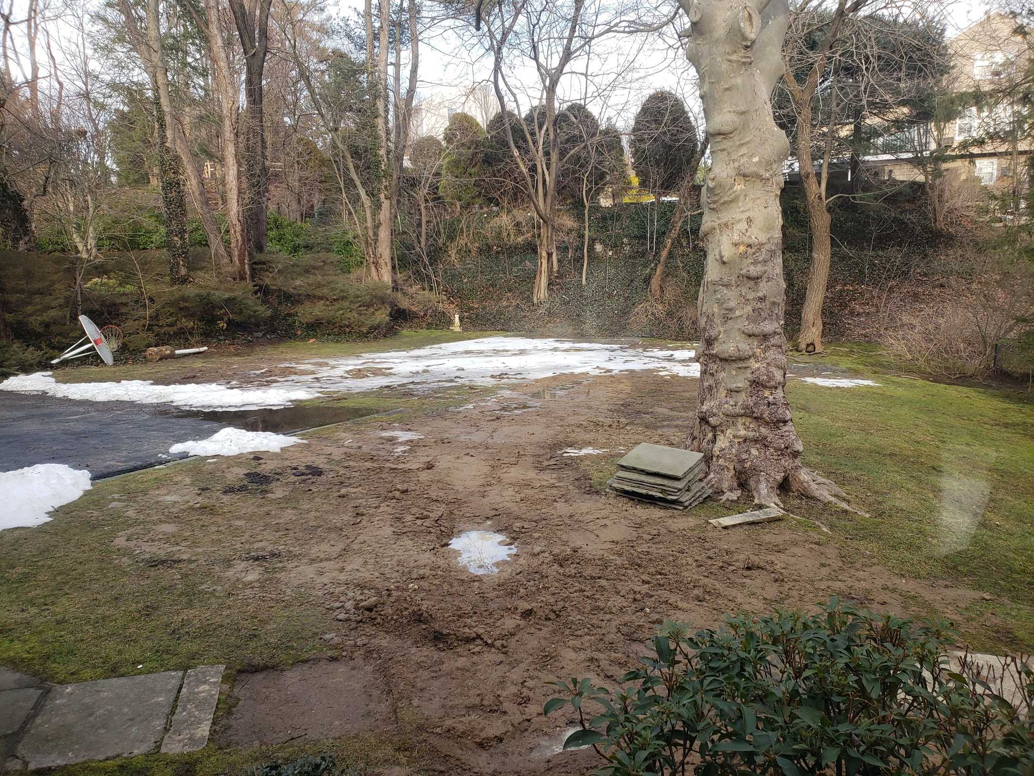 Dandelion Energy Review From An Actual Homeowner [2021] | Radiant ...