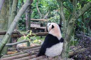 Python pandas 데이터 확인, 정렬, 선택하는 법 - Snug Archive