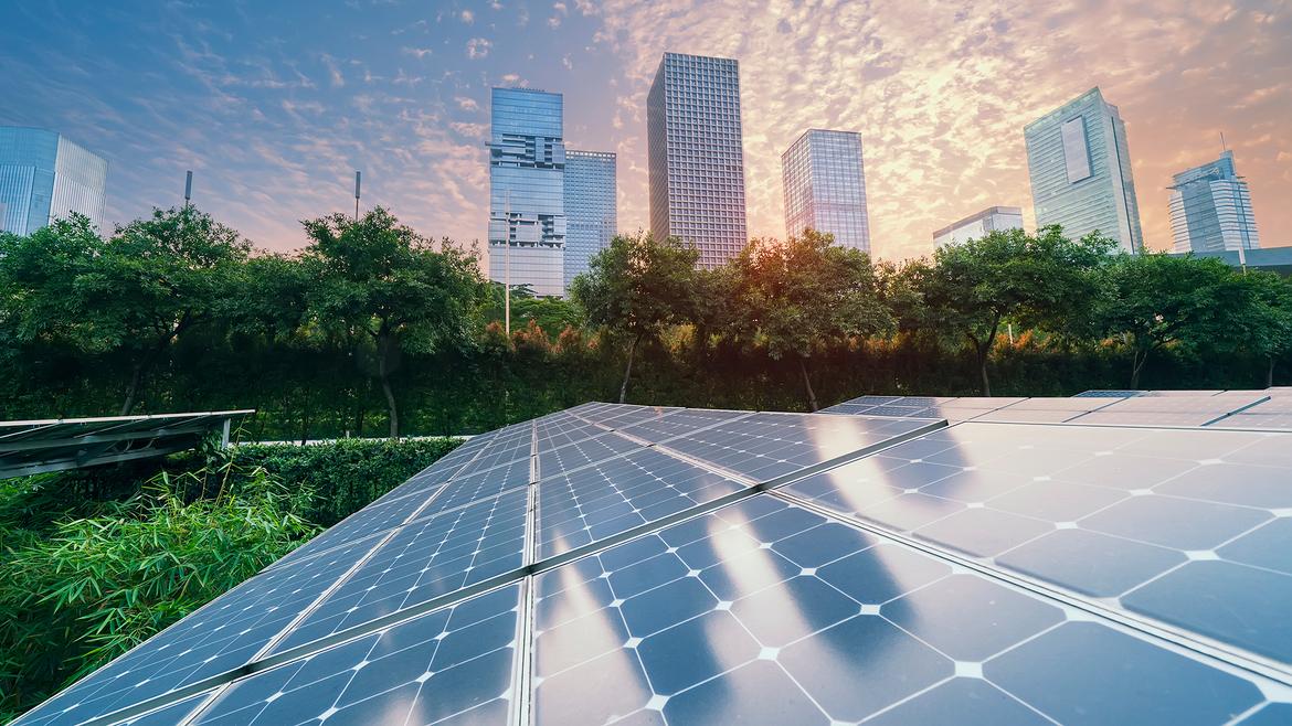 12 Examples Of Corporate Sustainability Initiatives To Inspire Your ...