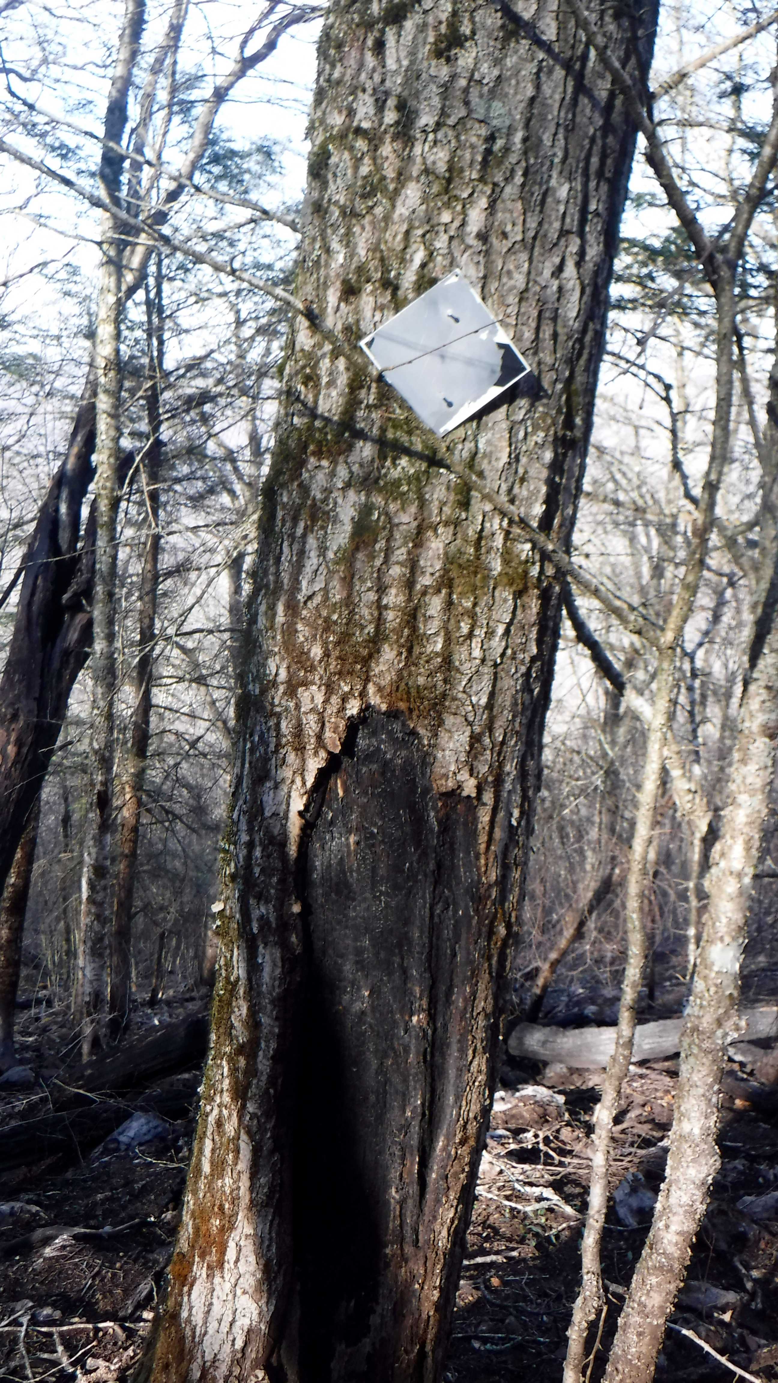 AT 2017: Day 8, Bly Gap to Beech Gap | Hike with Gravity