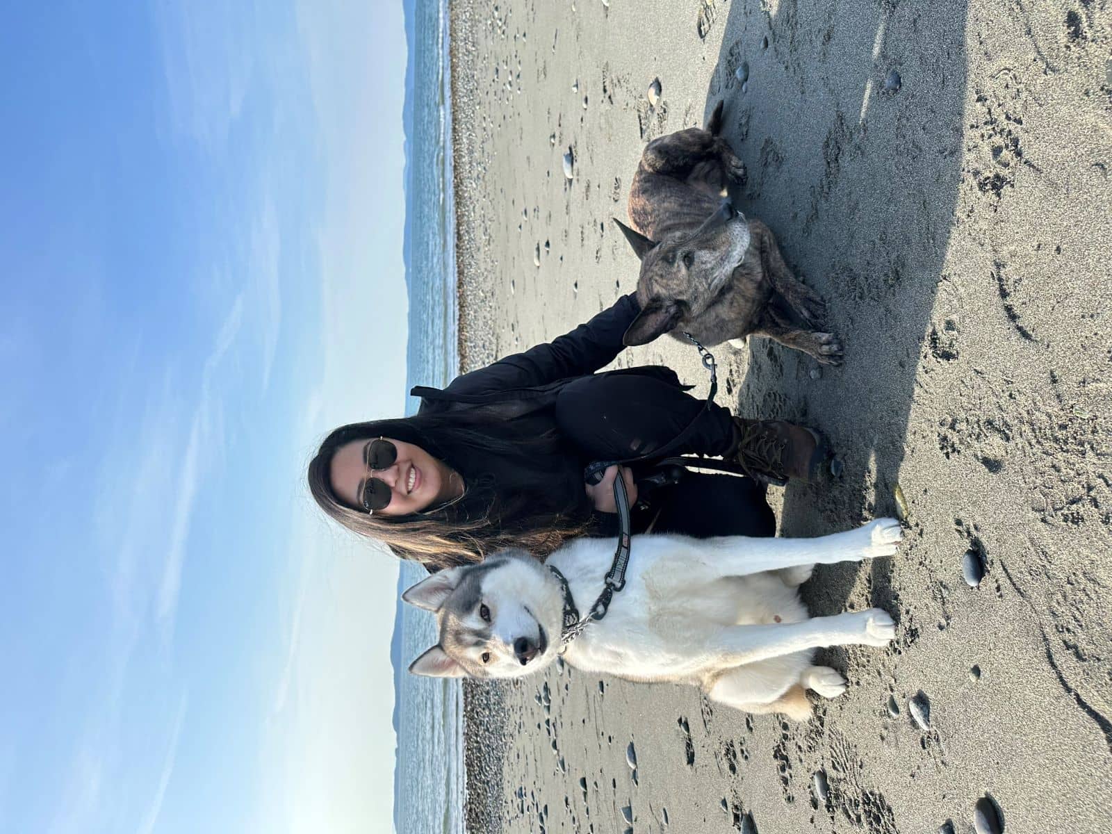 About Us | Prevail K9 Training | Whidbey Island