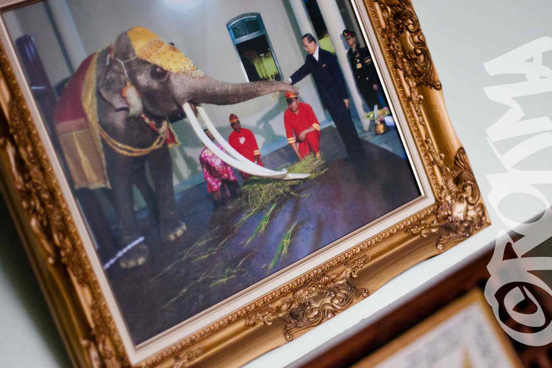 Royal Iconography - Fumes