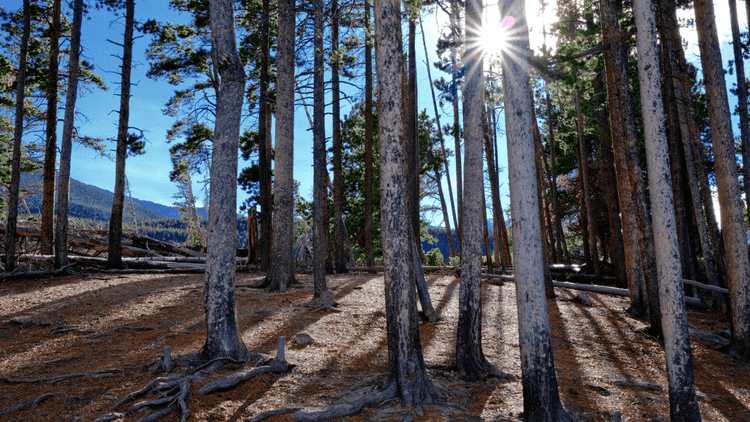 Trailing Slashes and Gatsby | Jon